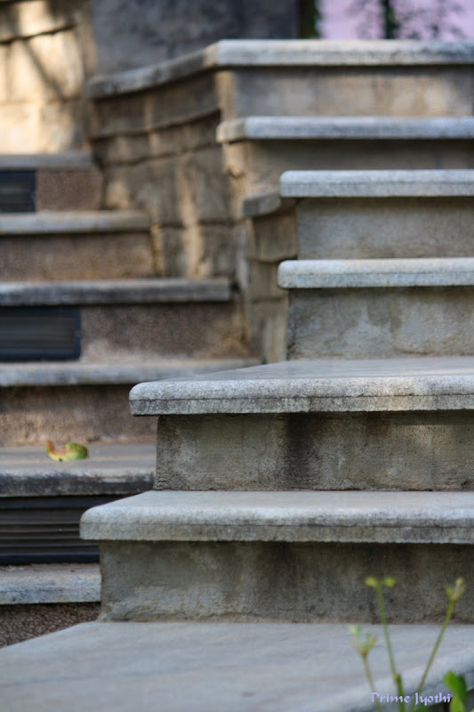 Prime Photos: August 2009