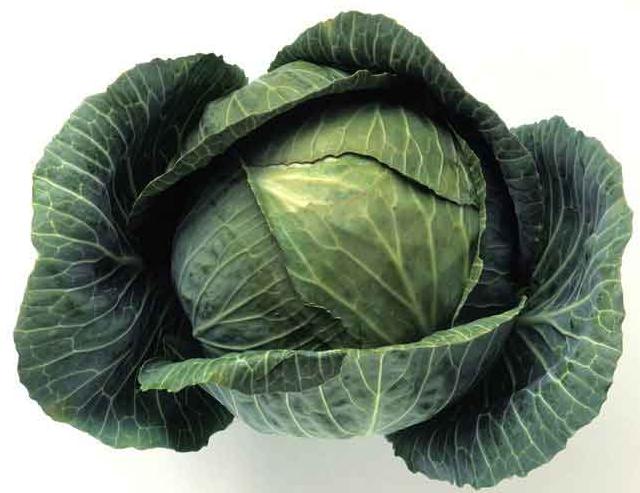 Groente en Fruit voor jou!: Kool