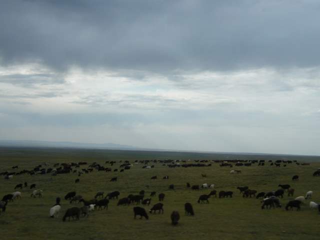 Turquoise Diaries: Tamarlane's City : Shahrisabz