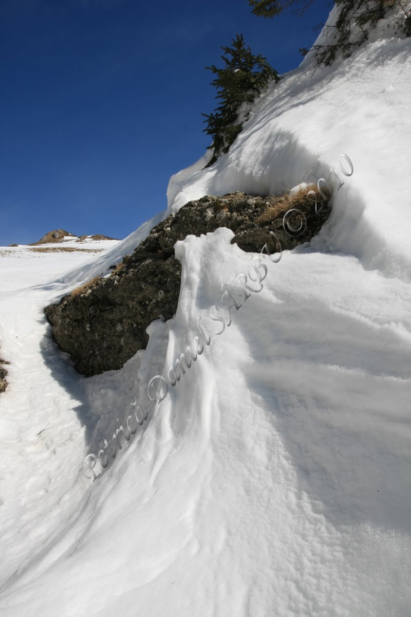 Petricã-Daniel SÂRBU Photography: Nature