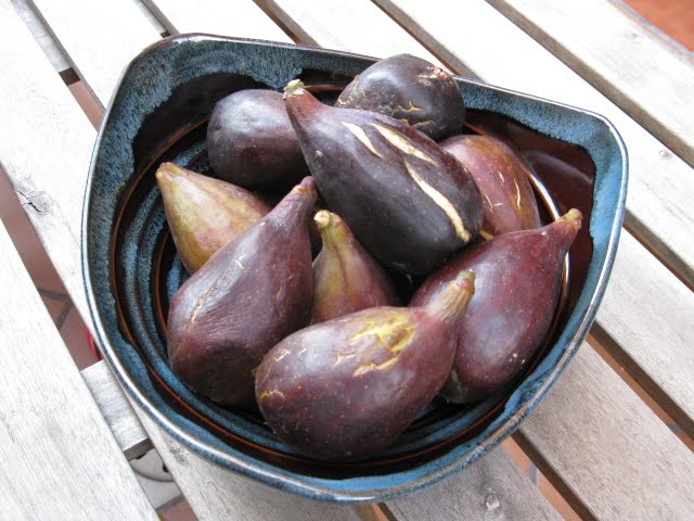 The World´s Tree Species: First Fruits of the Fig Tree - Breva crop