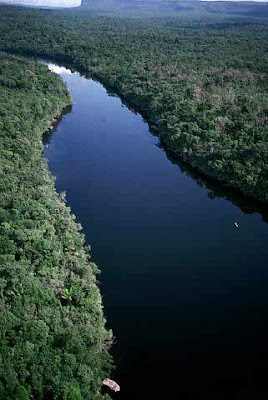 The best of best: Amazon river:World's largest river