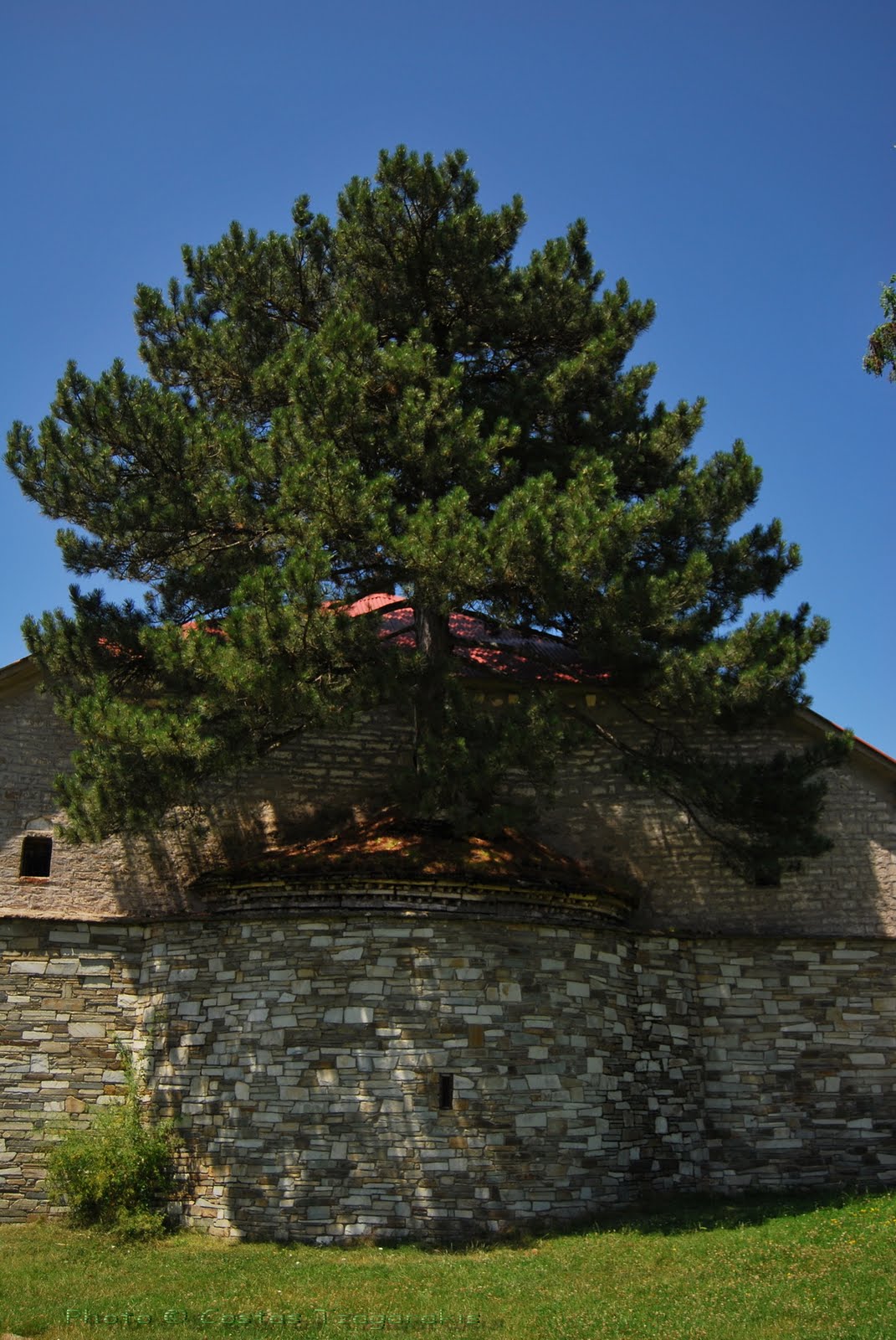 Nature Digital : Samarina. A village in Grevena. Σαμαρίνα Γρεβενών.