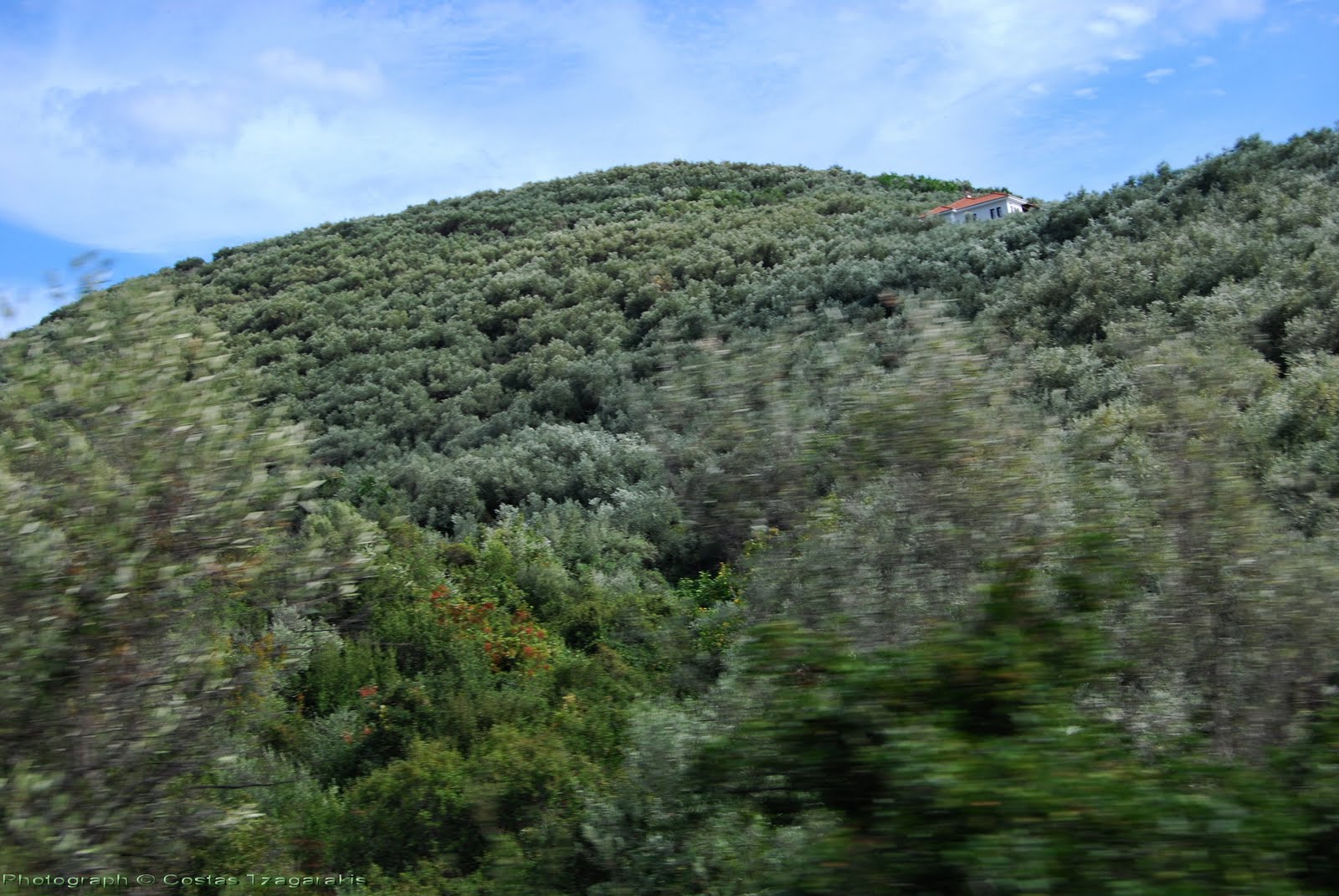 Nature Digital : Mt. Pelion, Greece. Πήλιο.