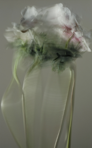 vermillion: Bill Beckley