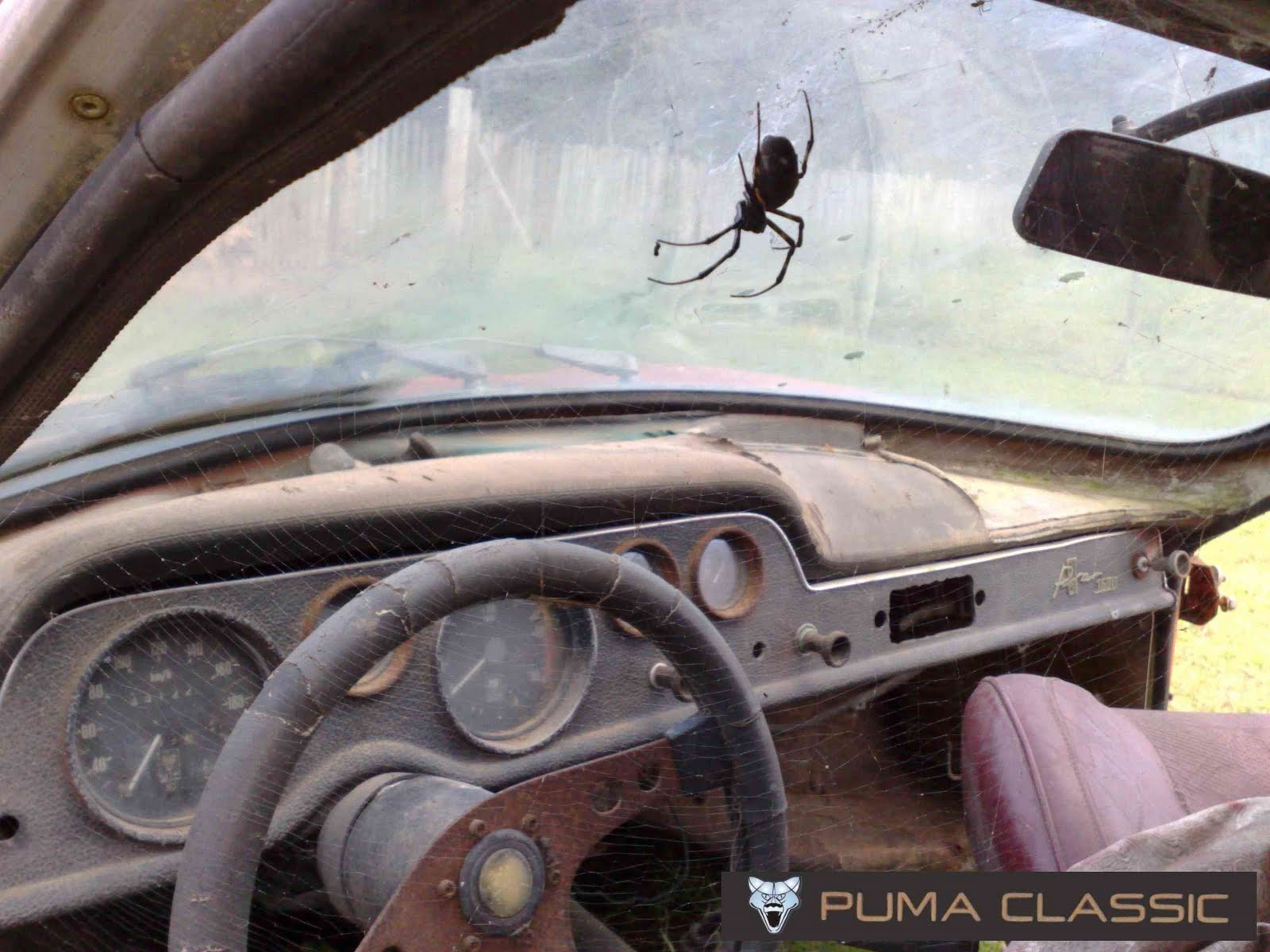 Puma Classic: Foto do dia - Puma of Spider-man