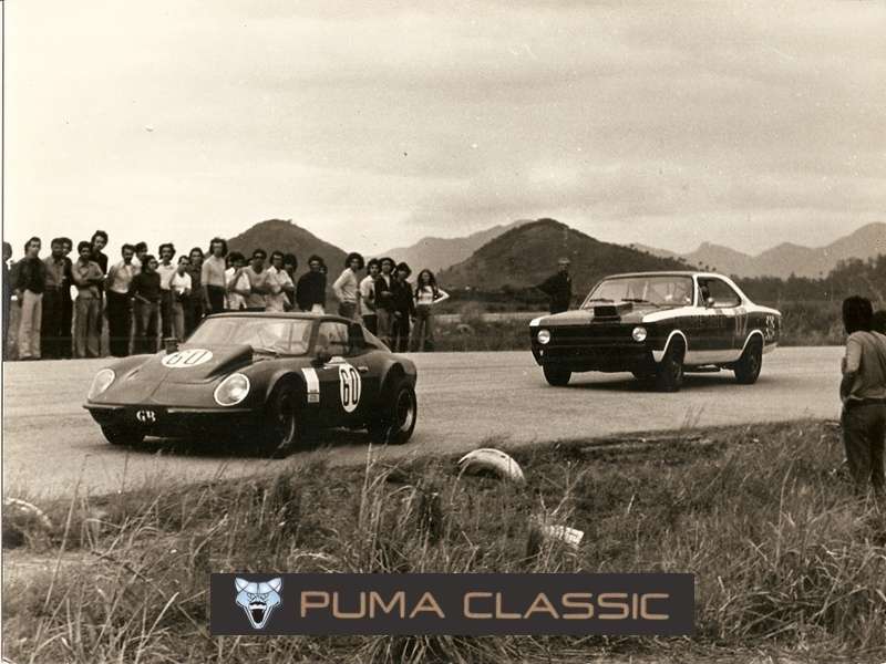 Puma Classic: Puma de corrida - Espartano N° 60 (4)