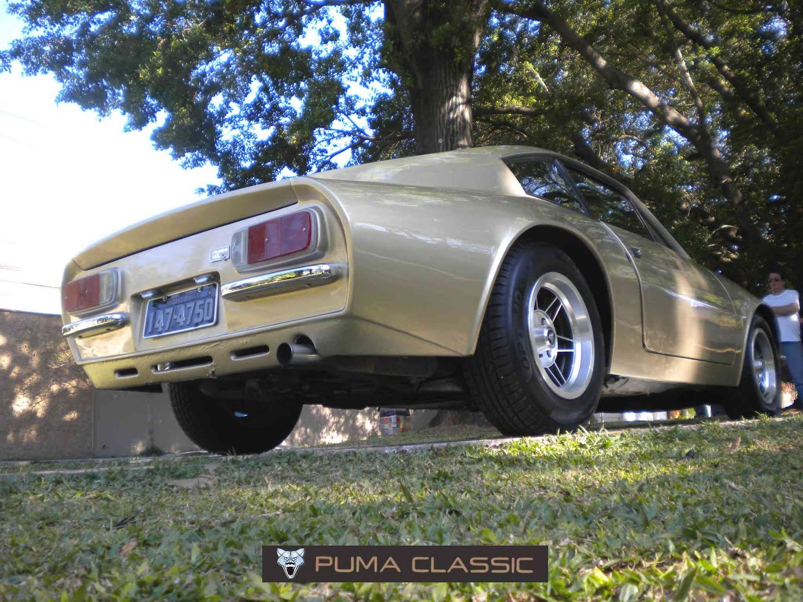 Puma Classic: Puma de amigo - GTE 1980 - 3a. parte