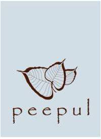 Peepul Style Blog: American Band One Republic Releases Song "Secrets ...