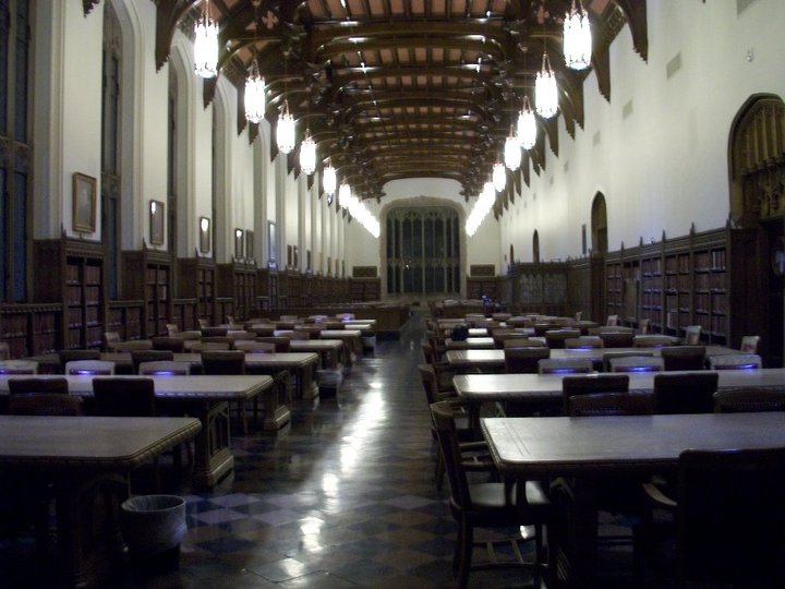 Persnickety Picnics: Why my school is like Hogwarts