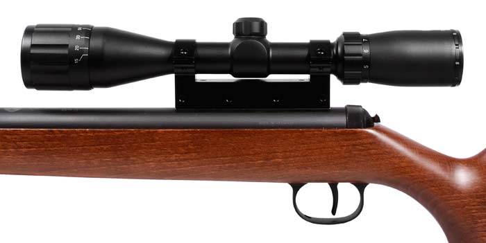 HOBBY IMPORT: Diana RWS 34 Meisterschutze Pro