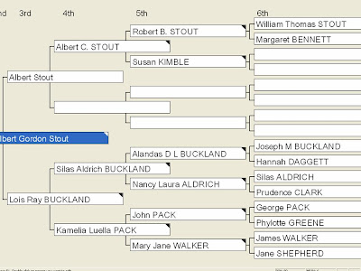 Joan's Family Pictures: Stout Family Tree