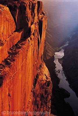 The Punctum: Bruce Dale