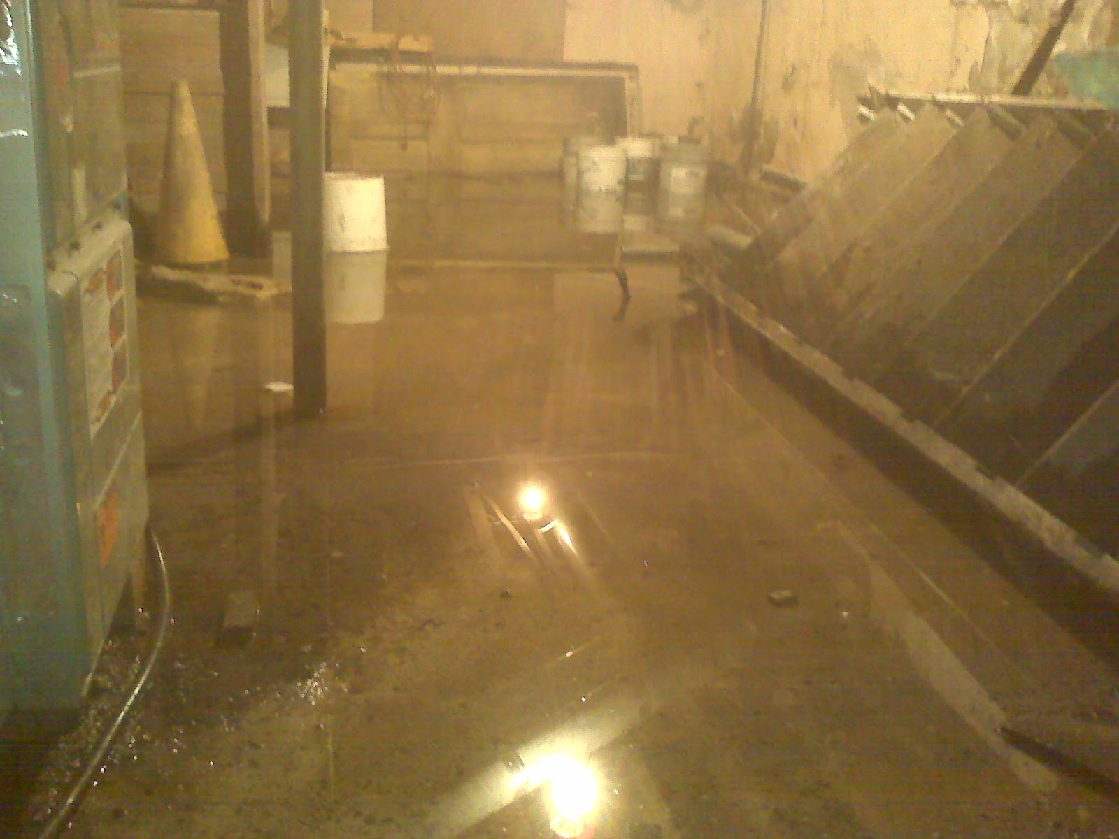 Shel: Water in the Basement
