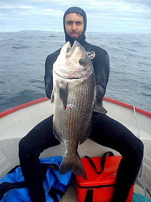 Coatesman's Spearfishing & Waterman's Blog: Cracker in the Deep