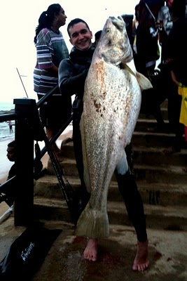 Coatesman's Spearfishing & Waterman's Blog: Spearfishing Update ...