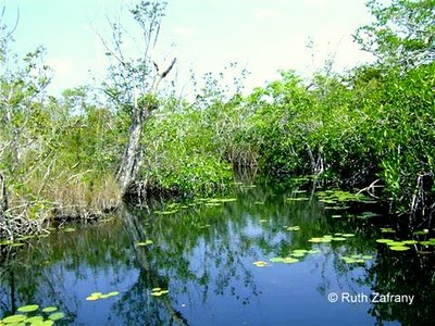 RIVIERA MAYA: XAMAN-HA