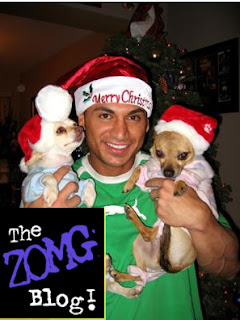 The ZOMG Blog!: January 2008