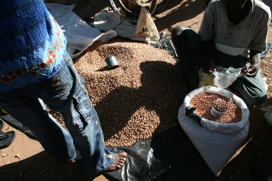 shannon's ventures: south africa: Moz, Part 3: Pebane, Moçambique