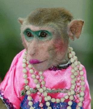 Topeng Monyet (Ronggeng Monyet) | Original Indonesia - culture, art ...