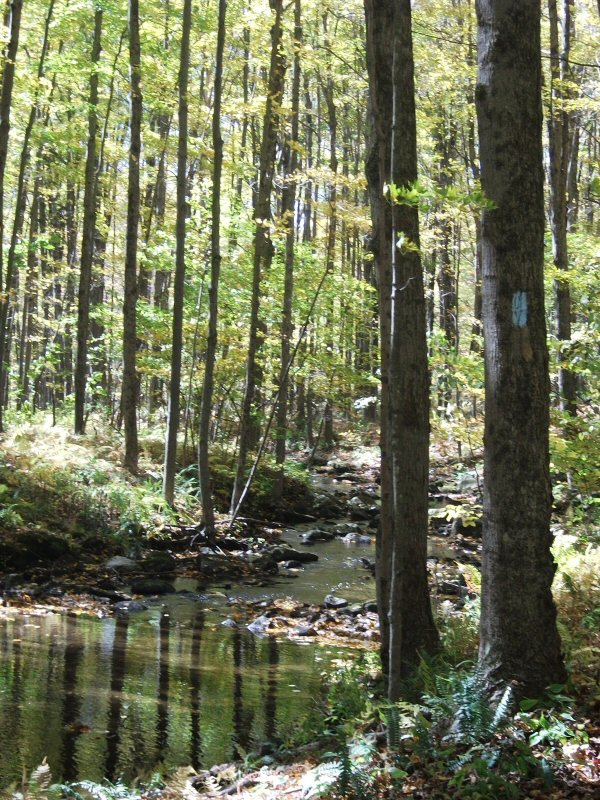 Macedonia Brook Trail - Kent, CT