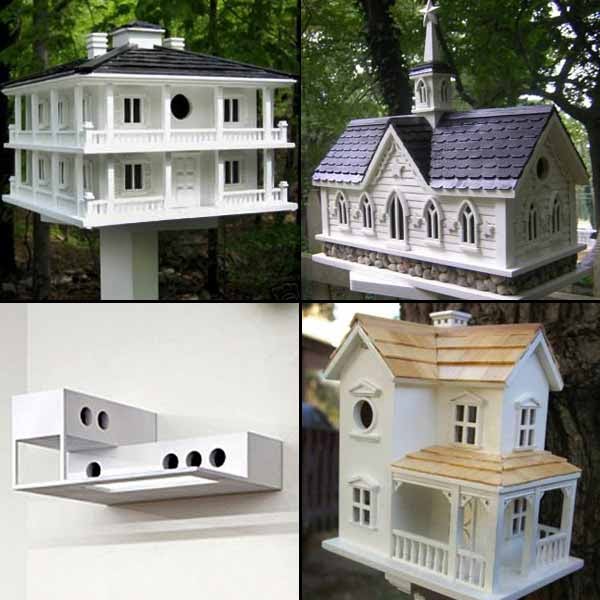 Building Collector: Avian Architecture / Building Birdhouses