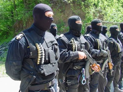 dinu-specialforces: SPP-Serviciul Paza si Protectie