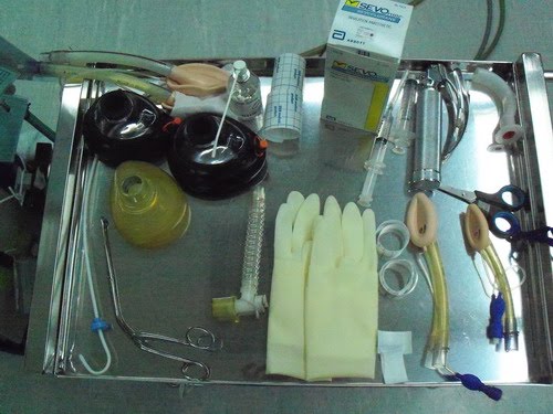 CARI TAHU CARA SEHAT: STATICS