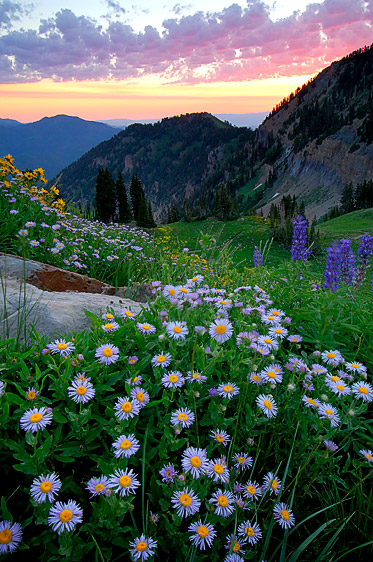 David J. West Blog: Highly Honored Natures Best Photography Magazine