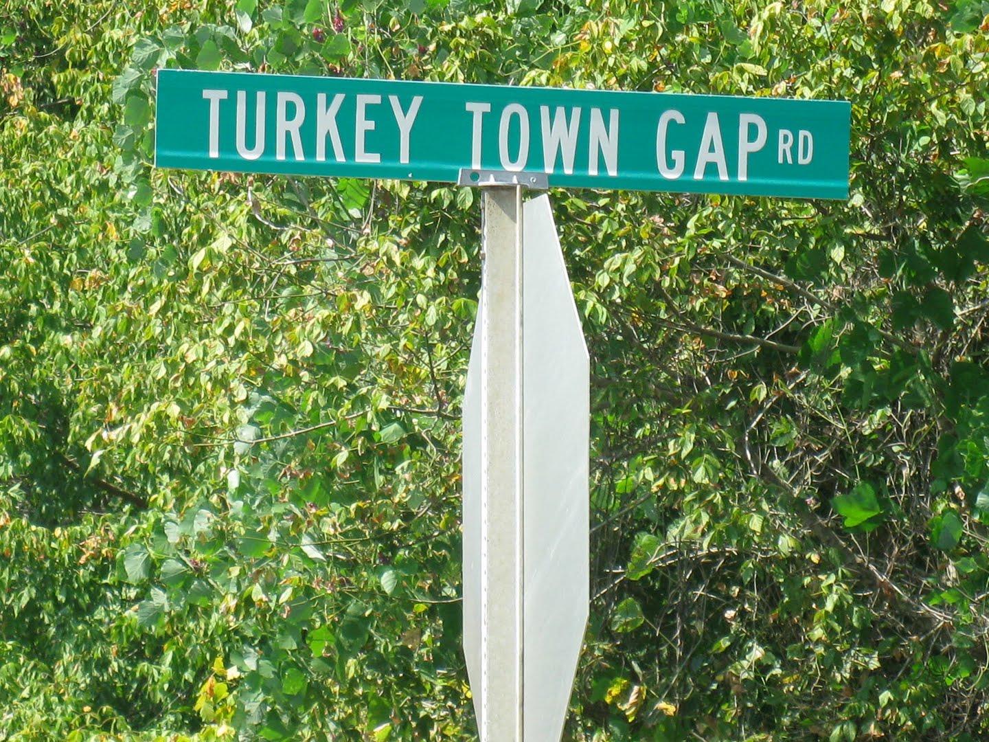 Eccentric Roadside: Happy Thanksgiving from Turkeytown