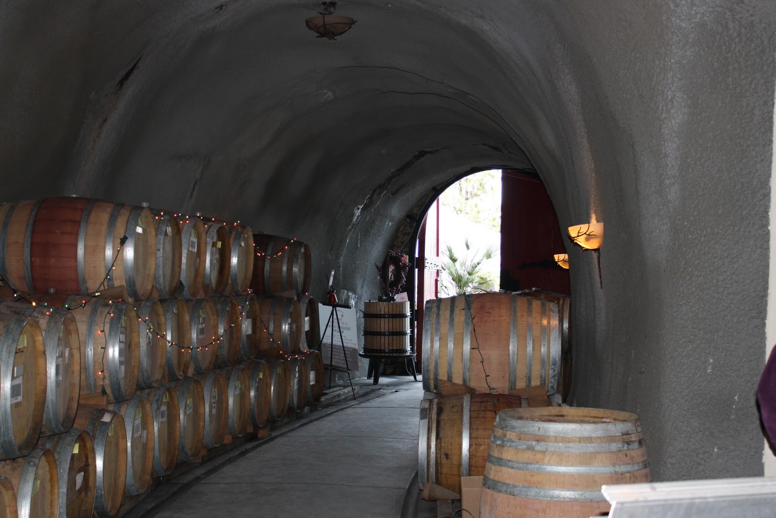 Weekend Adventures: Gold Bug Mine & Marshall Gold Discovery State ...