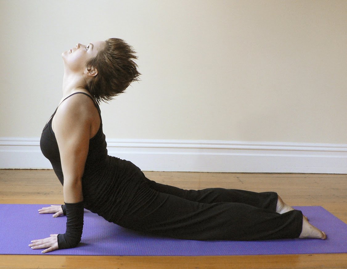 Yoga Exercises Yoga Exercises Yoga Exercises Yoga Exercises