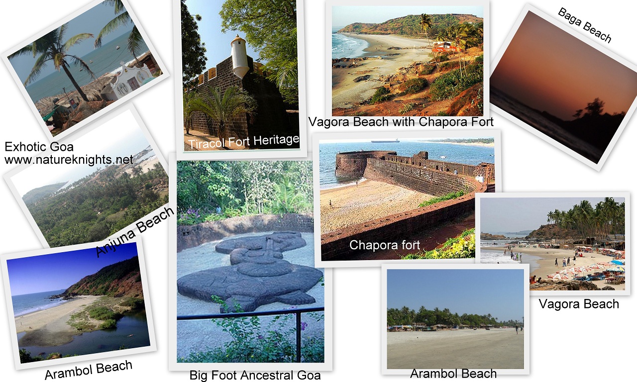 Nature Knights: Goa - Pearl of the Orient