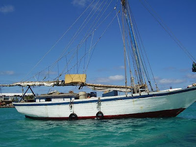70.8%: Paul Frankowski, documenting working sail