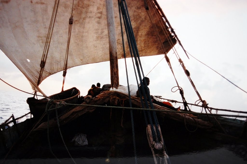 70.8%: Paul Frankowski, documenting working sail. 2