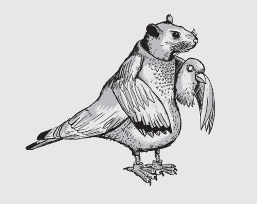 Pasen y lean: Alimentando palomas ("ratas con alas")