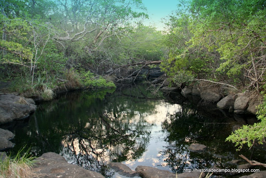 Ratón de Biblioteca: Parque Nacional Santa Rosa: El Patrimonio Natural.
