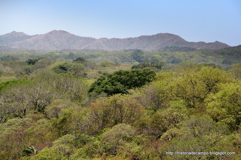 Ratón de Biblioteca: Parque Nacional Santa Rosa: El Patrimonio Natural.