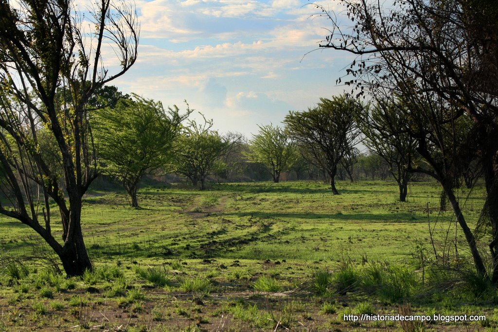Ratón de Biblioteca: Parque Nacional Santa Rosa: El Patrimonio Natural.