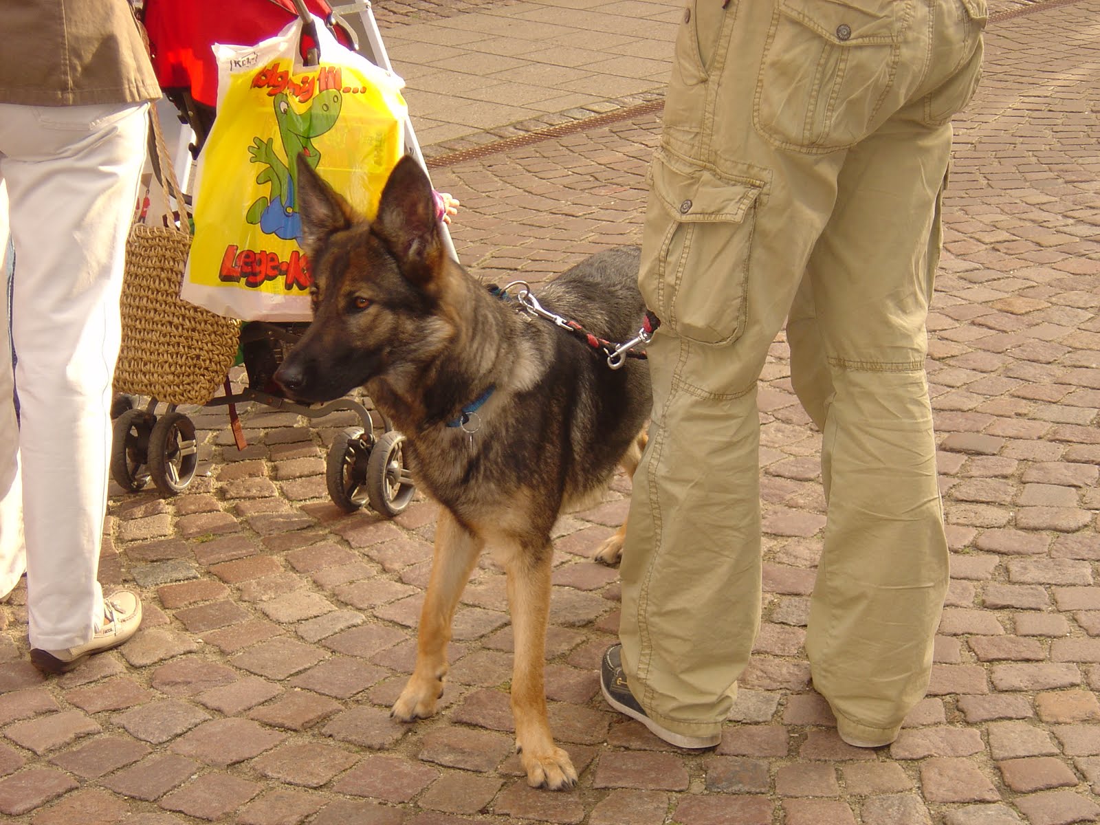 Rachel Goes to Denmark.: Odense! Ribe! ...Drag Show!