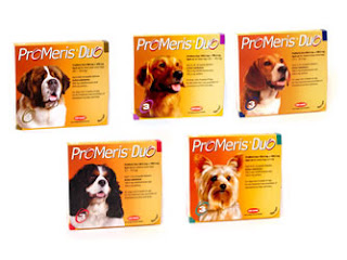 El tratamiento Veterinario: Promeris duo