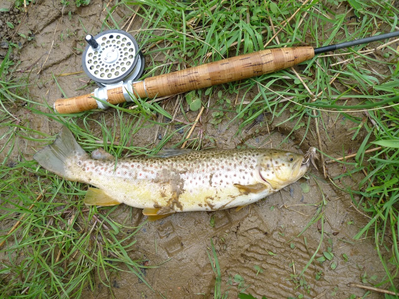 Lure Couture Fly Fishing