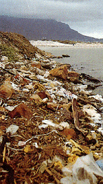 water pollution: MARINE DUMPING