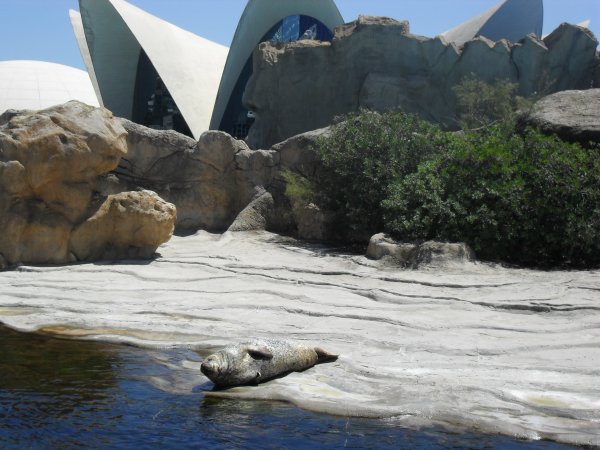 OCEANOGRAFIC DE VALENCIA