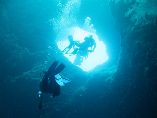 Taiwan, Palau and Thailand: Palau divesites day 4: Blue Hole + Blue ...