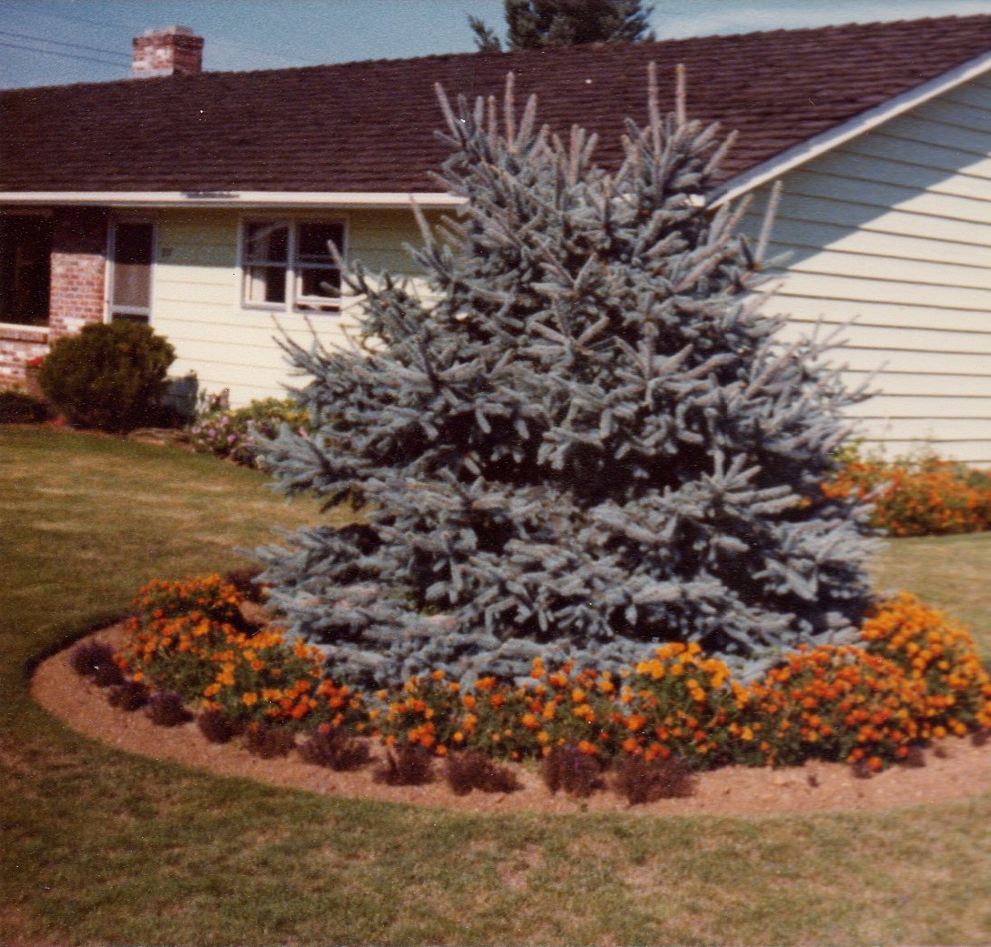 Pictures of Our Ancestors: Monzella Grace Riley Rogers Waddington 1923-1992
