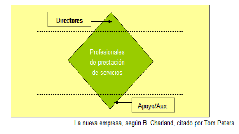 Tecnicas y habilidades: Práctica 5 Organización horizontal