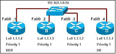 Cisco CCNA Exploration 4.0: CCNA 2 - Module 11 Exam Answers