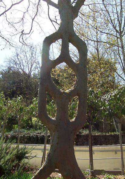 Strange Facts: Arborsculpture: Tree shaping