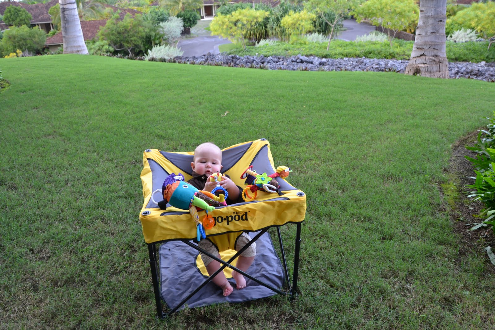 The Clarks in Colorado: Momformation: The KidCo Go Pod